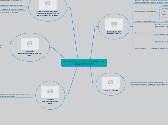 EL TRABAJO Y SU DISTRIBUCIÓN POR SECTORES - Mind Map